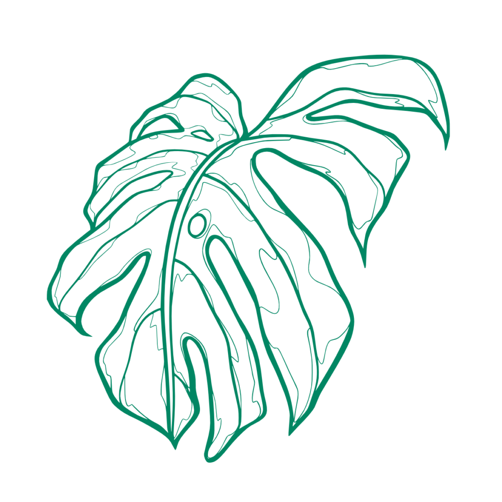 Inicial - Floricultura Verde Flora